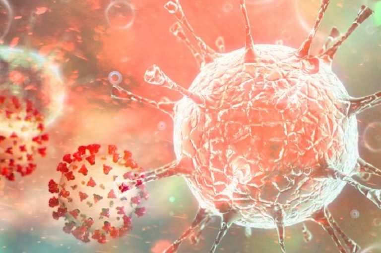 immunitás – Borsod24